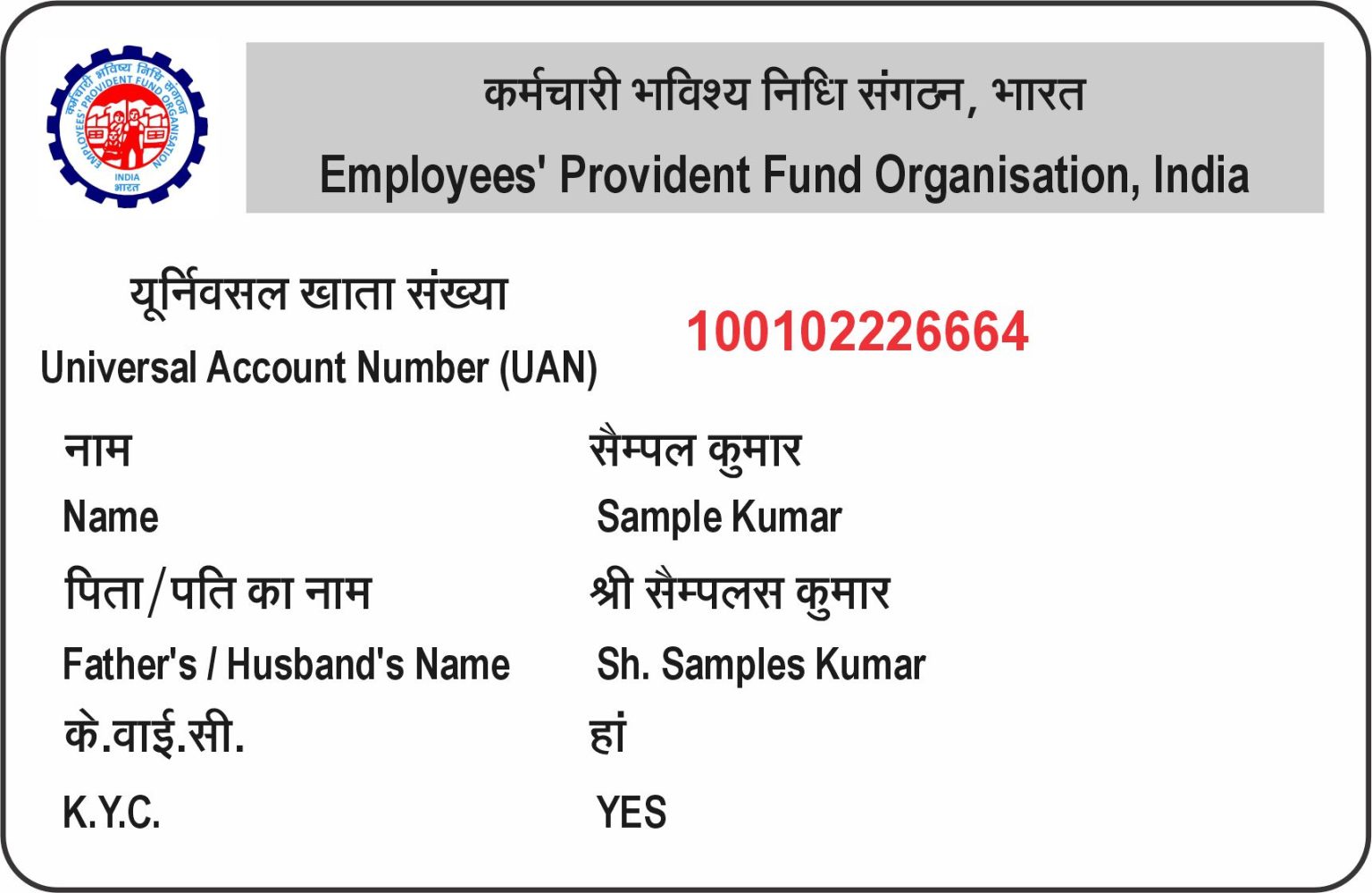 PVC PAN Card Print – Pvcprintstore